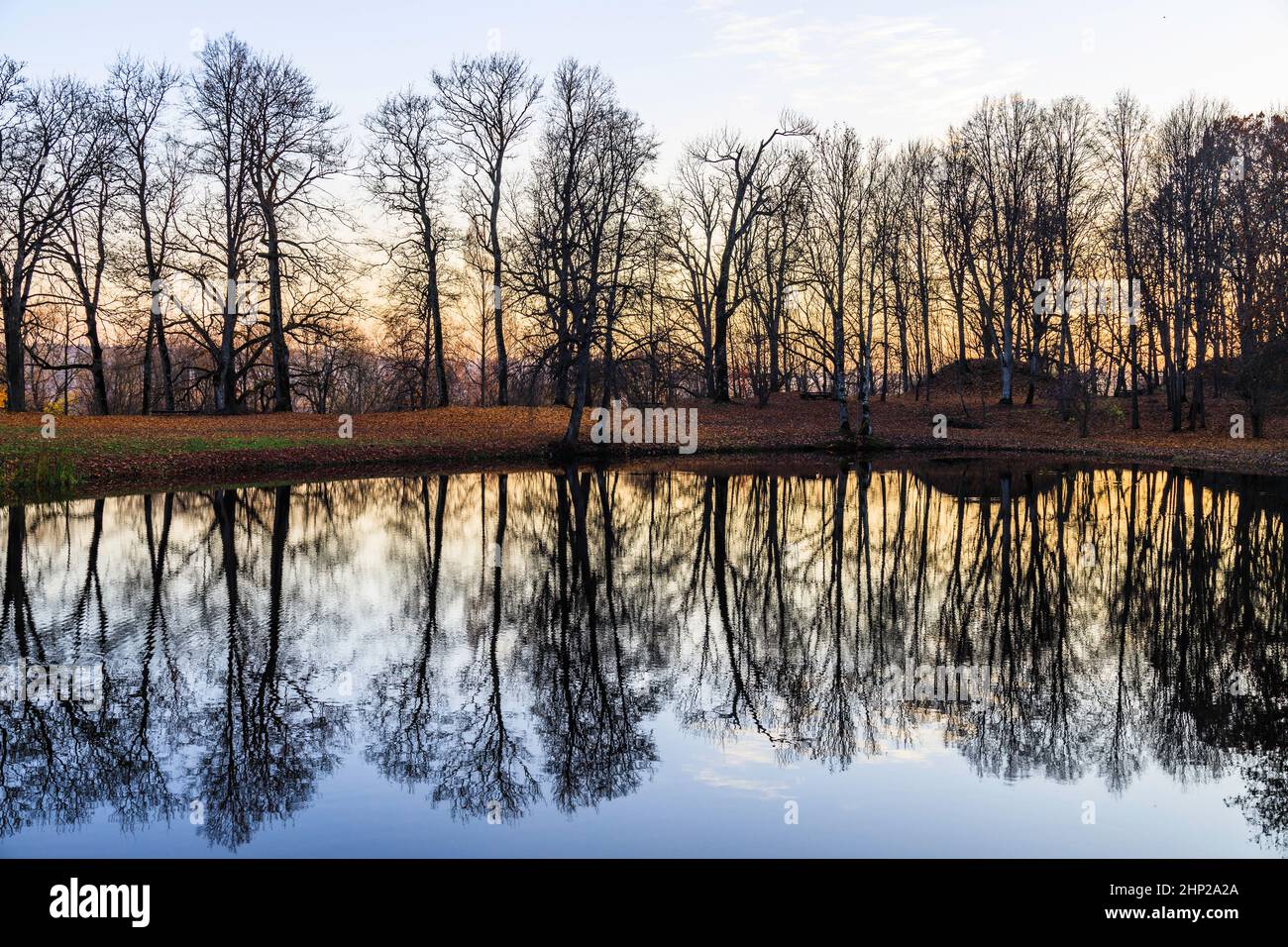 pond in the park with trees reflection from a beautiful sunset Stock ...