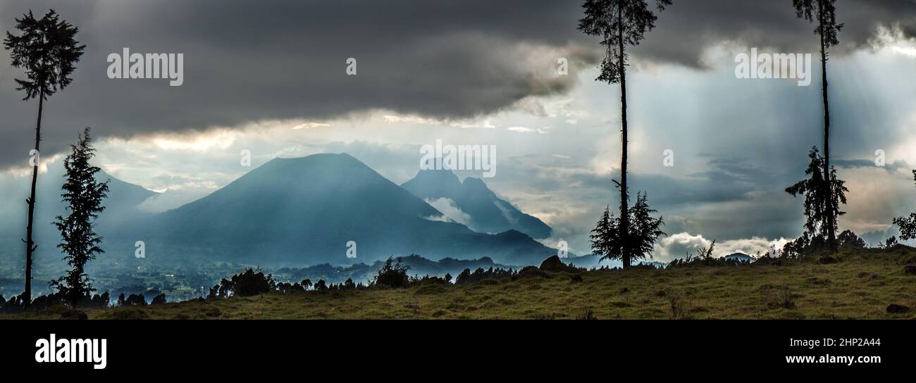 Volcanoes national park in Rwanda and DRC Stock Photo - Alamy