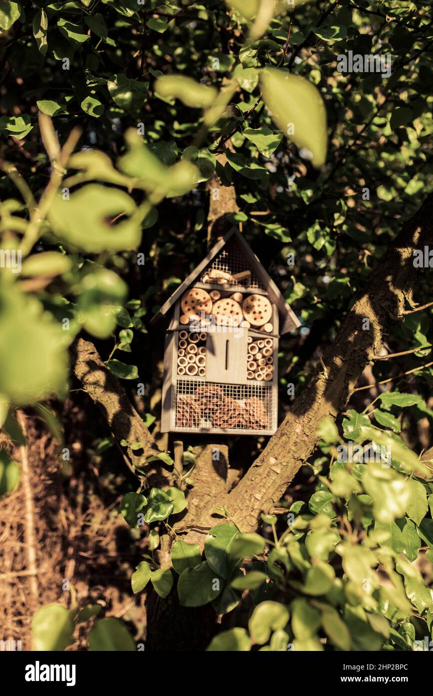 Wooden house for garden insects Stock Photo - Alamy