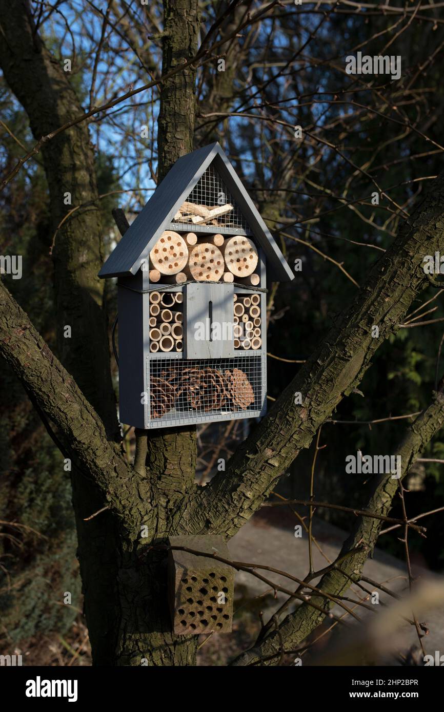 Wooden house for garden insects Stock Photo - Alamy