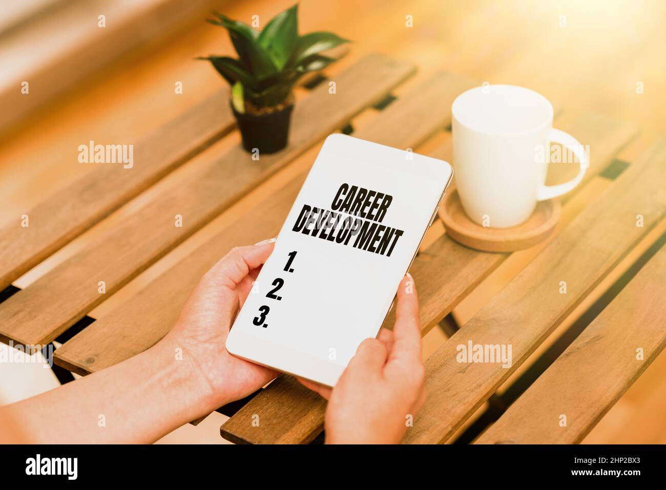 Conceptual display Career Development, Business showcase Lifelong ...