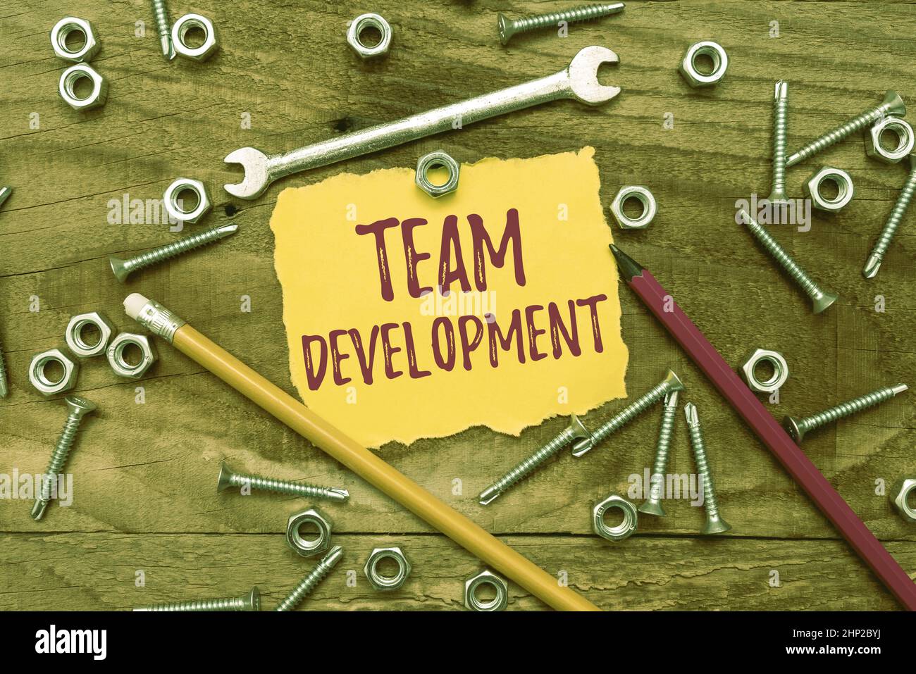 Writing displaying text Team Development, Word Written on learn why and ...