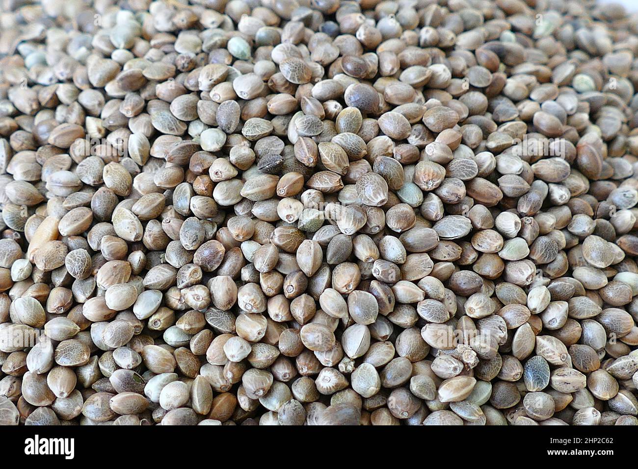 Close up cannabis seeds hi-res stock photography and images - Alamy
