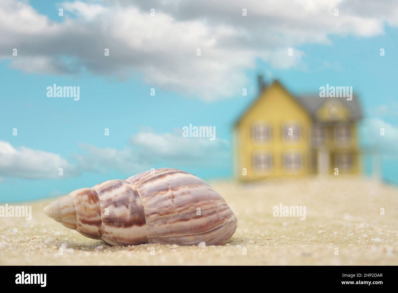 Sea Shell and Beach House, Shallow DOF Stock Photo - Alamy