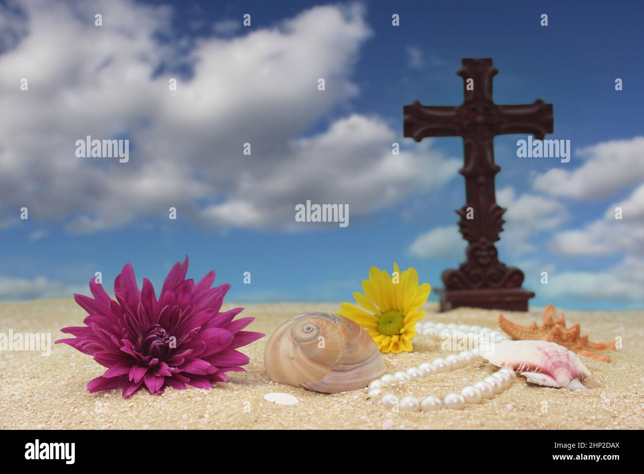 Sea Shells With Cross on Sand, Shallow DOF Focus on Shell Stock Photo ...