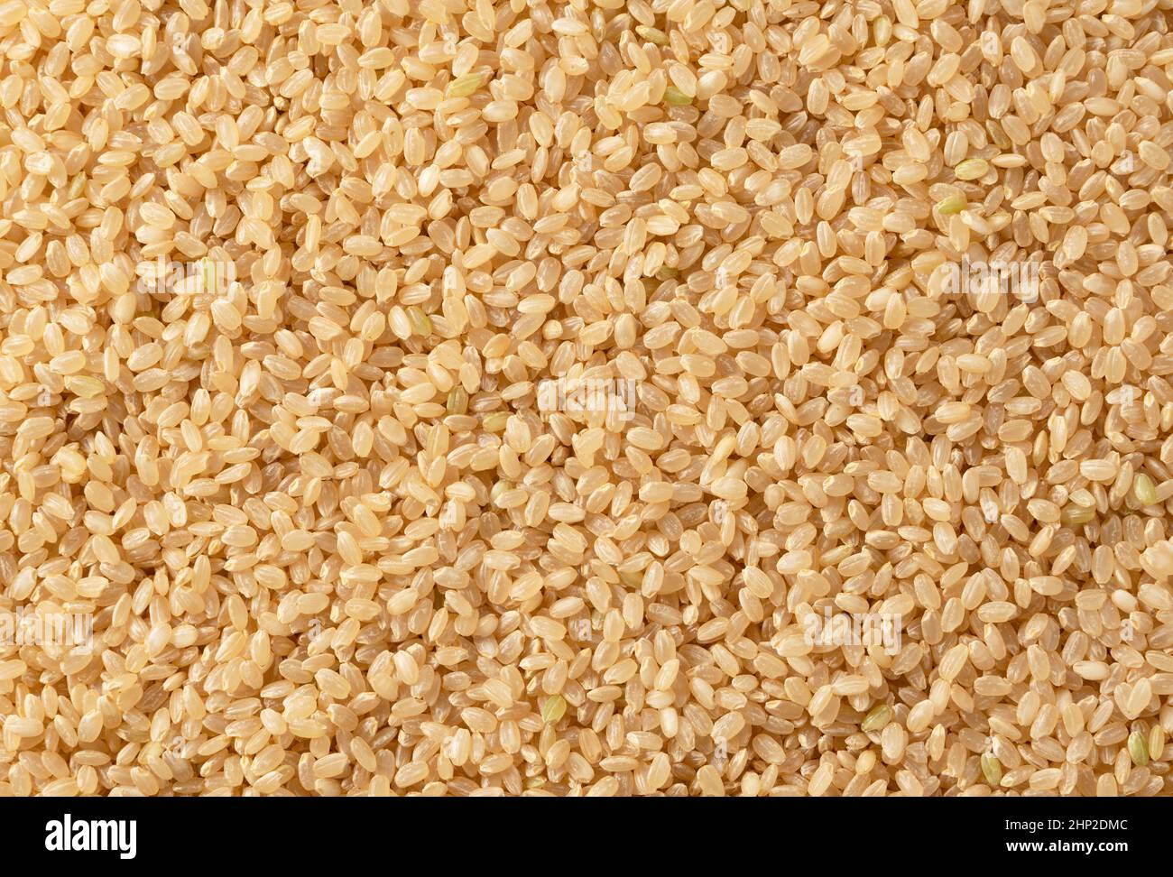 Brown rice spread over the entire screen. Food background. Composition ...