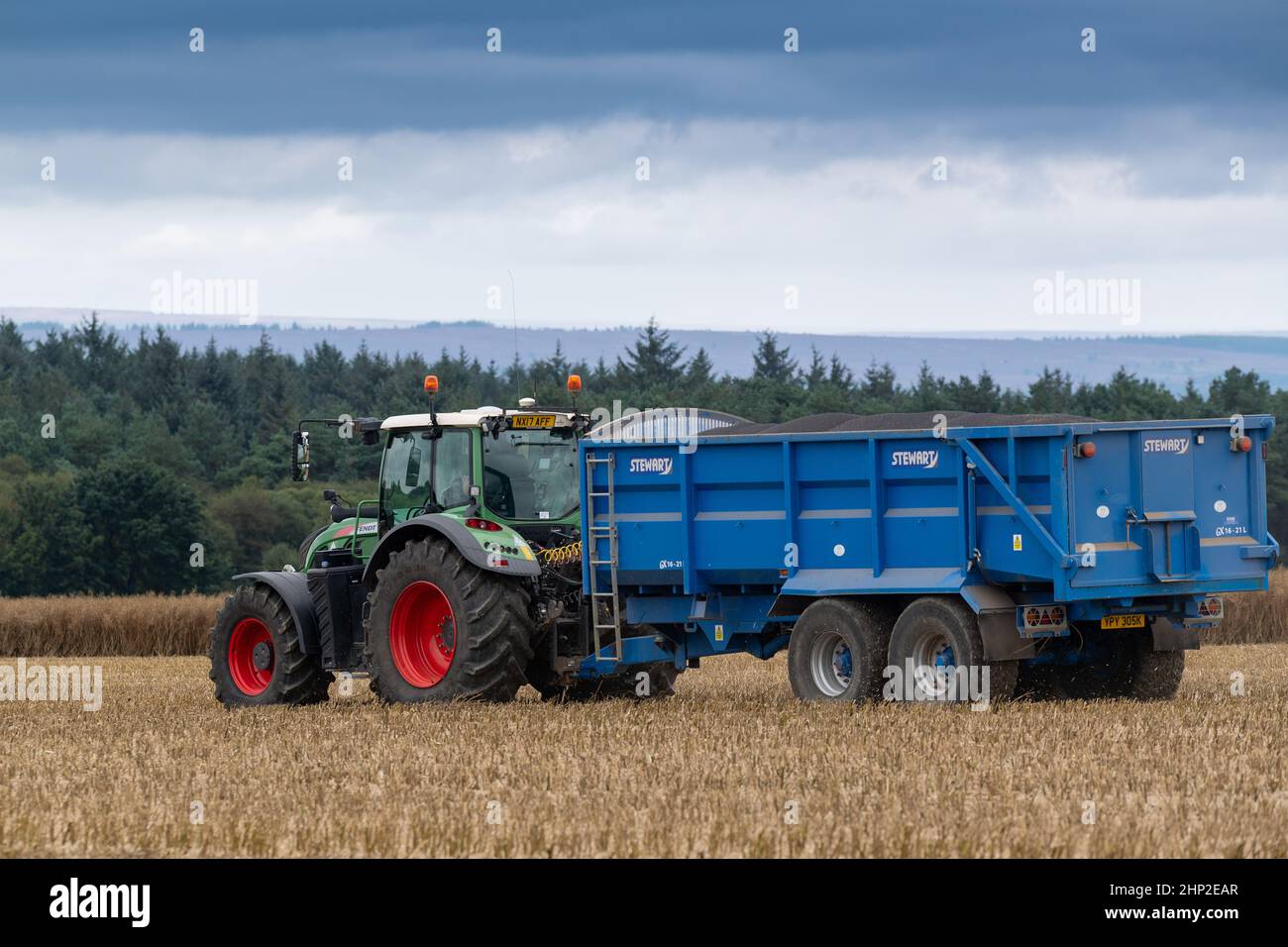 Fendt tractor pulling a trailer filled with newly harvested Canola ...