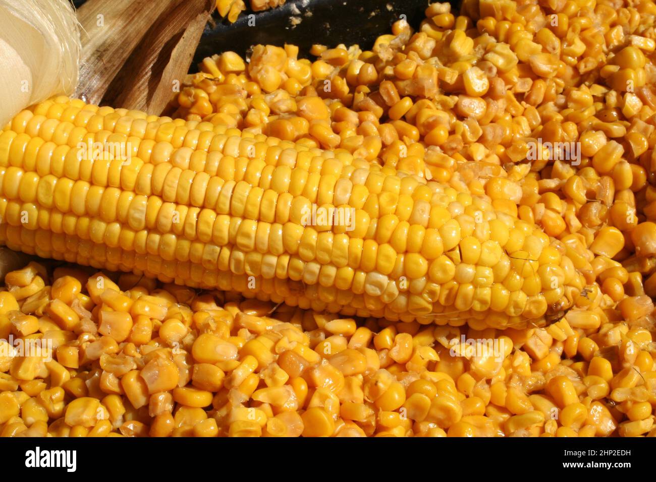 Fresh Roasted Yellow Corn at County Fair Stock Photo - Alamy