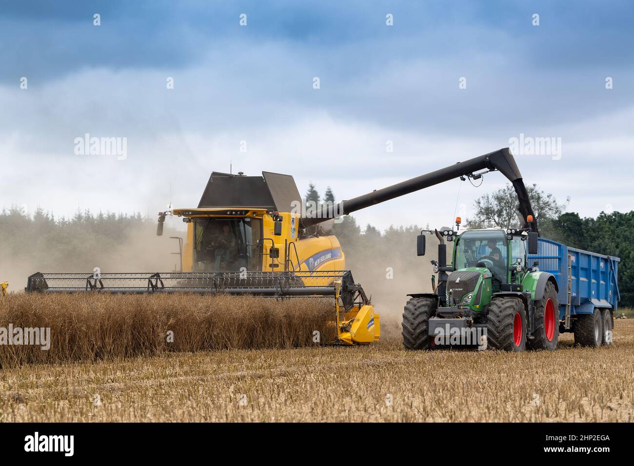 New Holland combine filling a trailer pulled by a Fendt tractor with ...