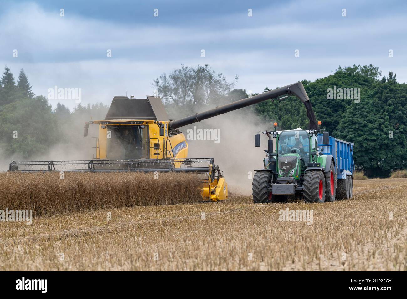 New Holland combine filling a trailer pulled by a Fendt tractor with ...