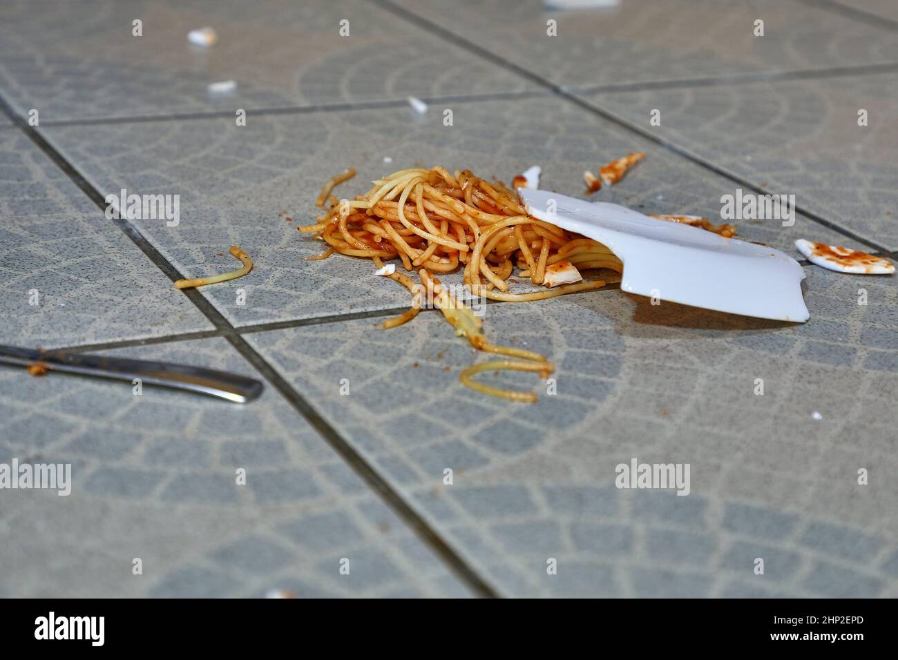 Plate of spaghetti dropped on the kitchen floor and breaking Stock ...