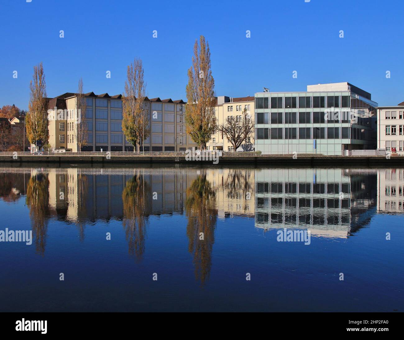 Colorful trees and buildings mirroring in the river Rhine. Scene in ...
