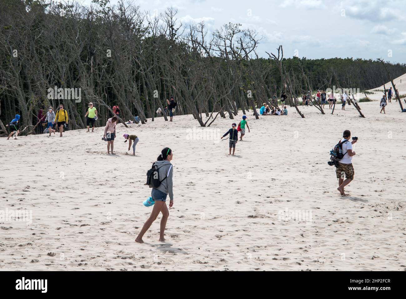 Tourist traffic in Slowinski National Park in Poland, moving dunes ...