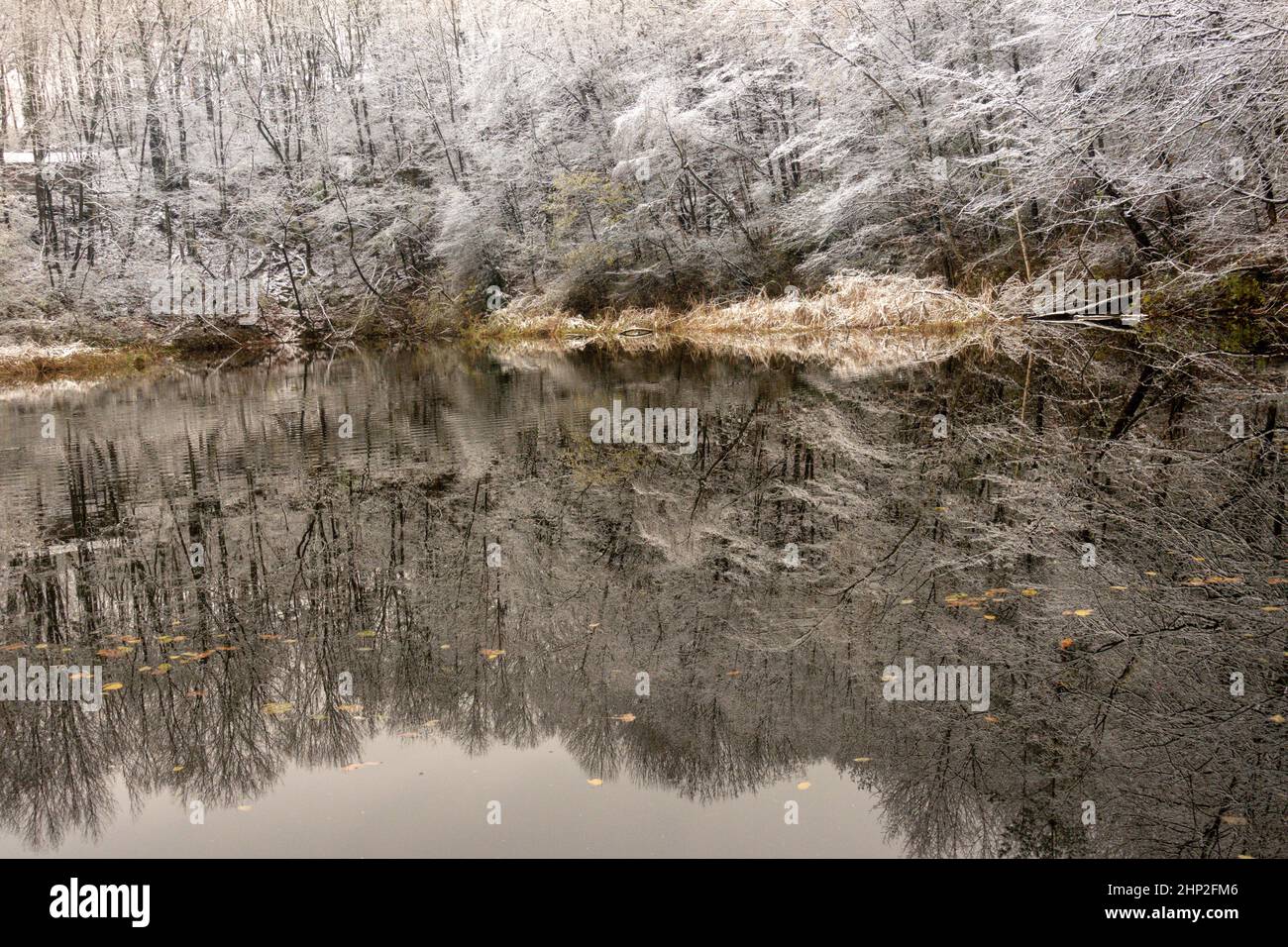 Very small lake in a forest in winter hi-res stock photography and ...