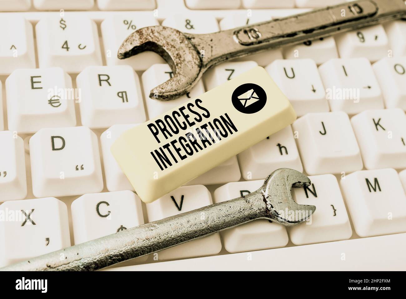 Conceptual display Process Integration, Business overview Connectivity ...