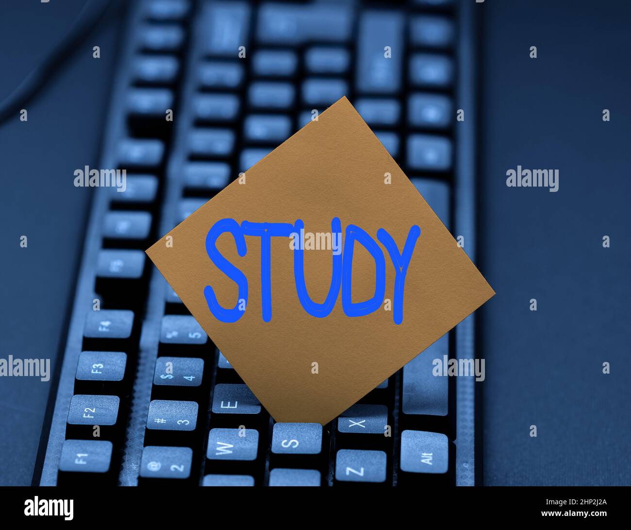 Text caption presenting Study, Business showcase devotion of time and ...