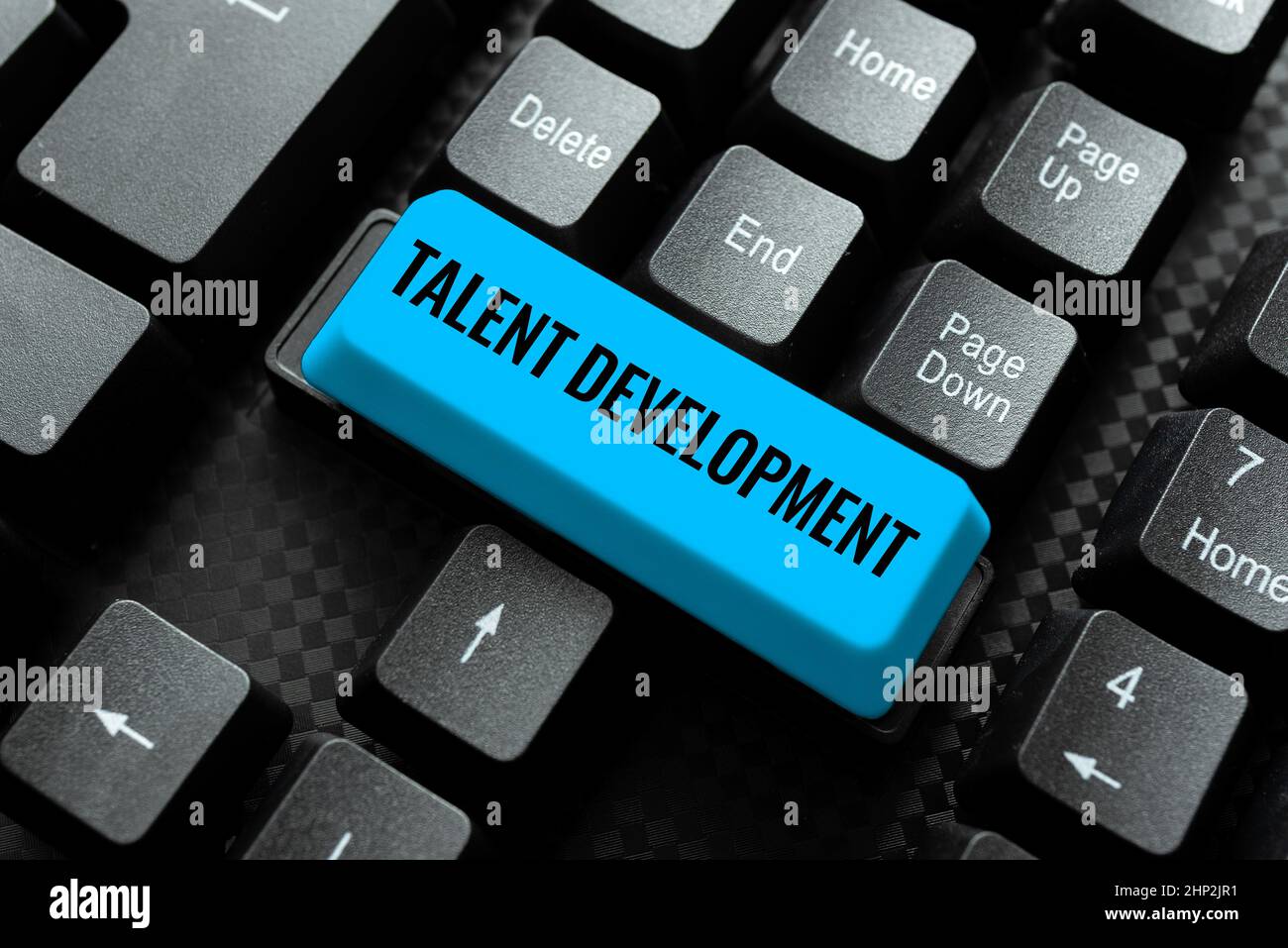 Conceptual display Talent Development, Business overview Building ...