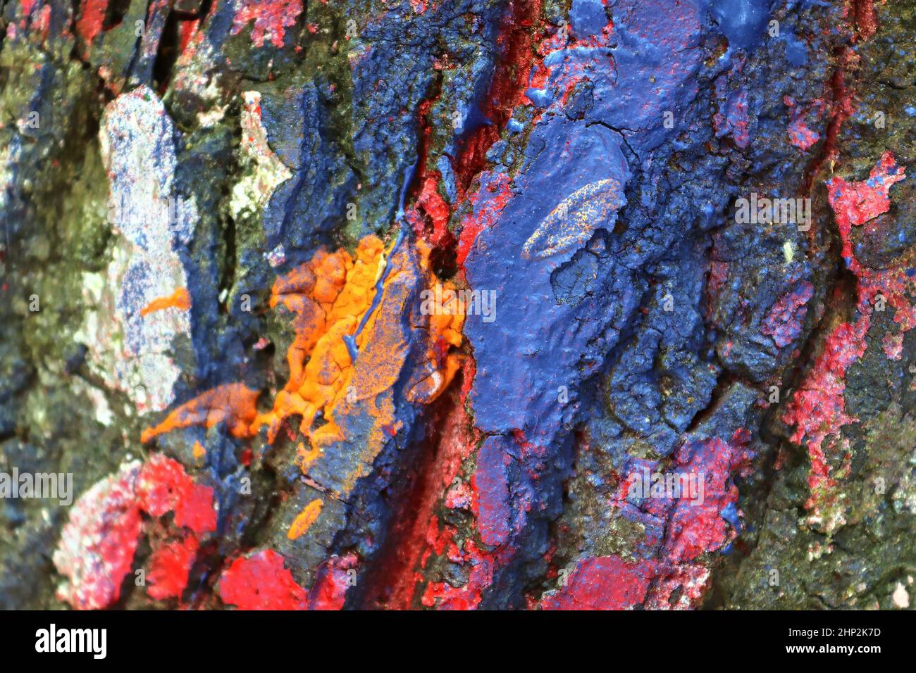 Close up surface of colorful tree bark sprayed with graffiti paint ...