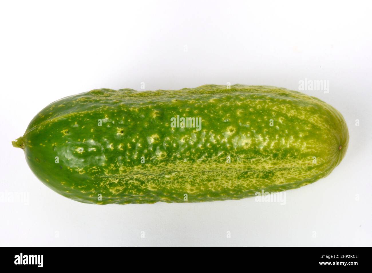 Small cucumber on a white background Stock Photo - Alamy