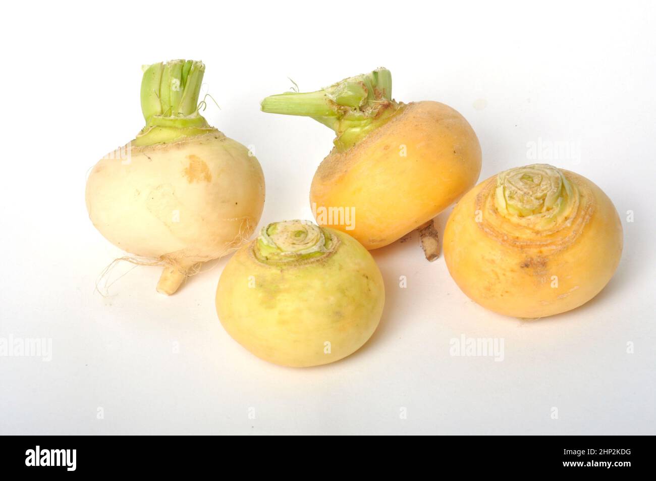 Young turnips on a white background Stock Photo - Alamy