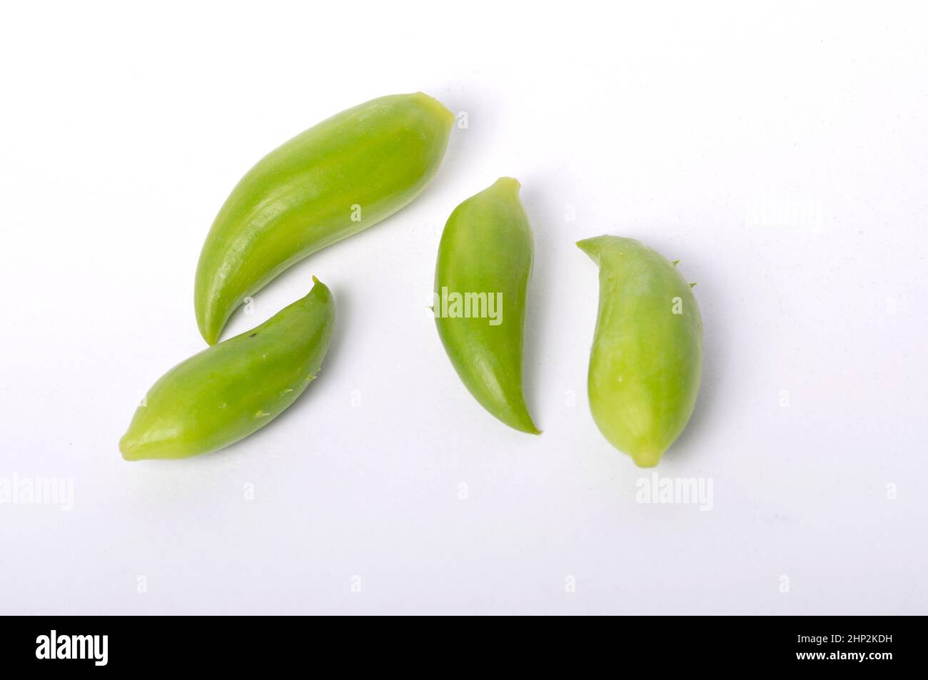 Achocha hi-res stock photography and images - Alamy