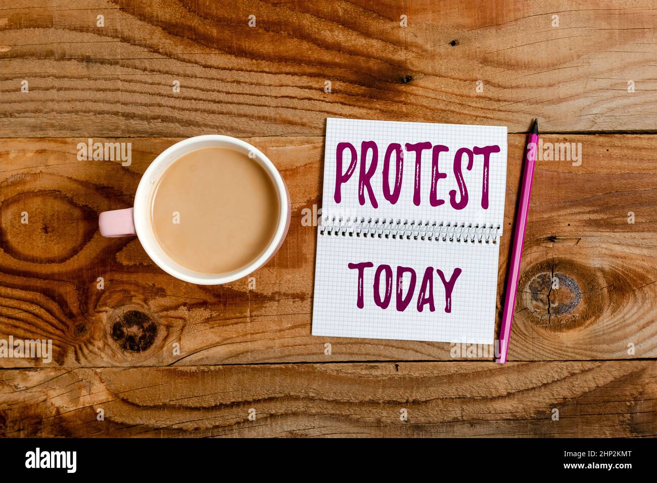 Text sign showing Protest, Concept meaning An action expressing ...