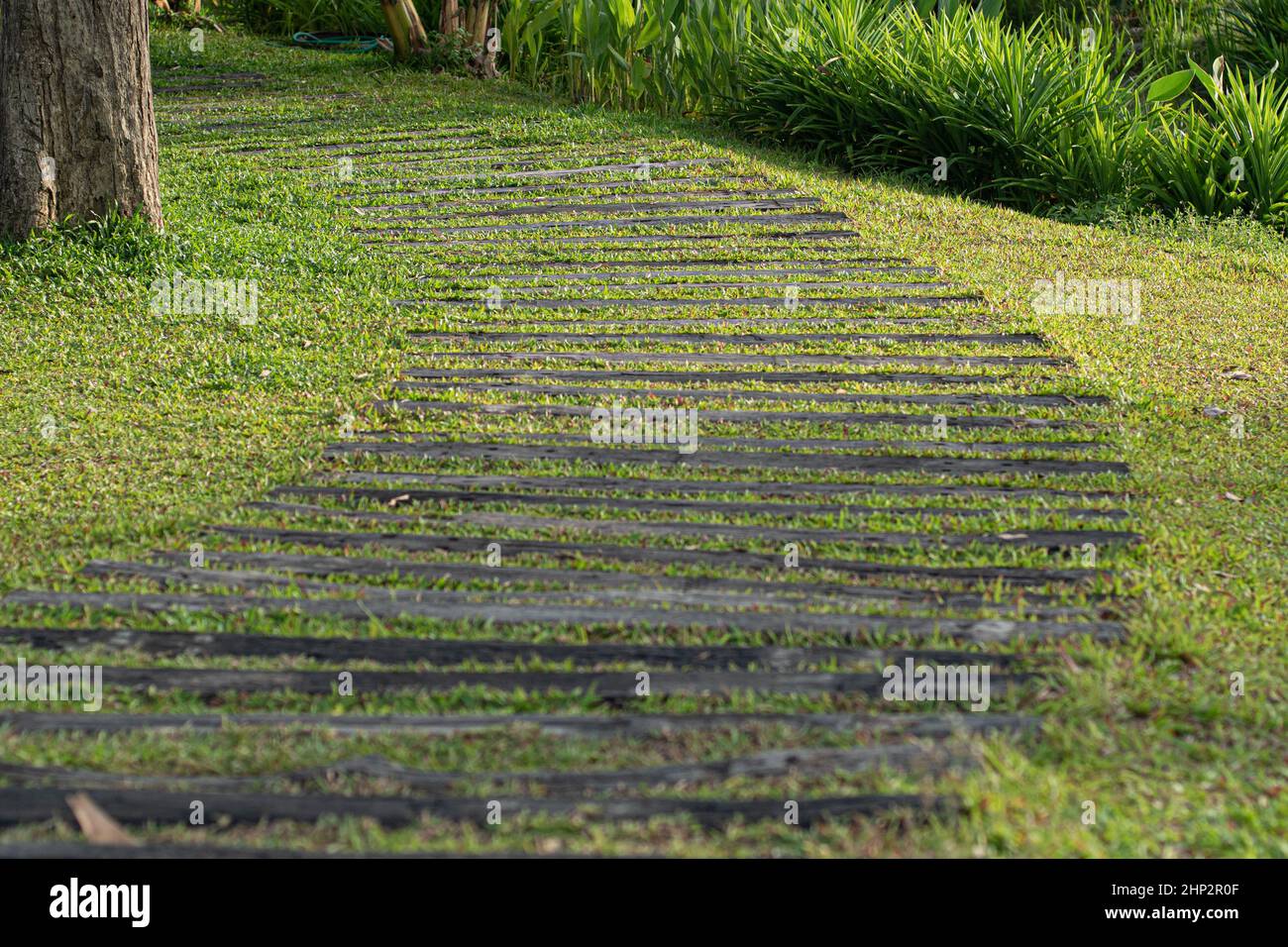 Curved Paver Path decoration landscape design, Walkway Through Grass ...