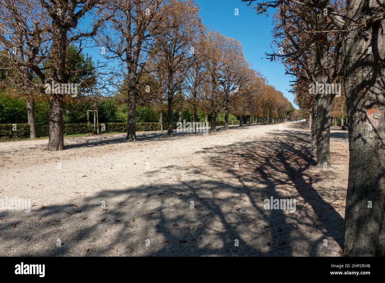 Park without people hi-res stock photography and images - Alamy