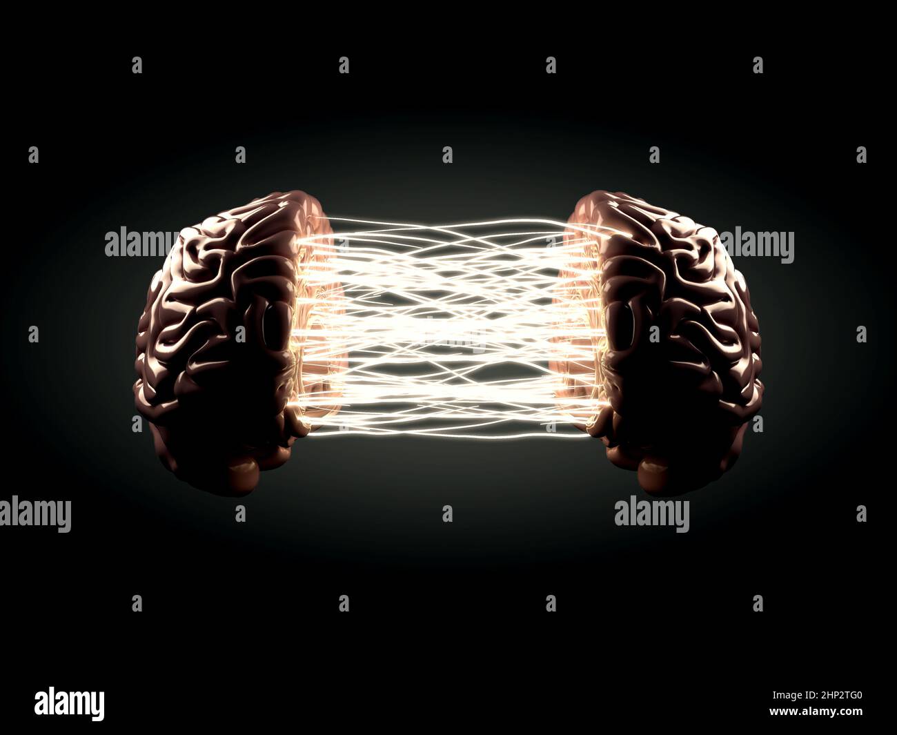 A concept showing a human brain split into two hemispheres and joined ...