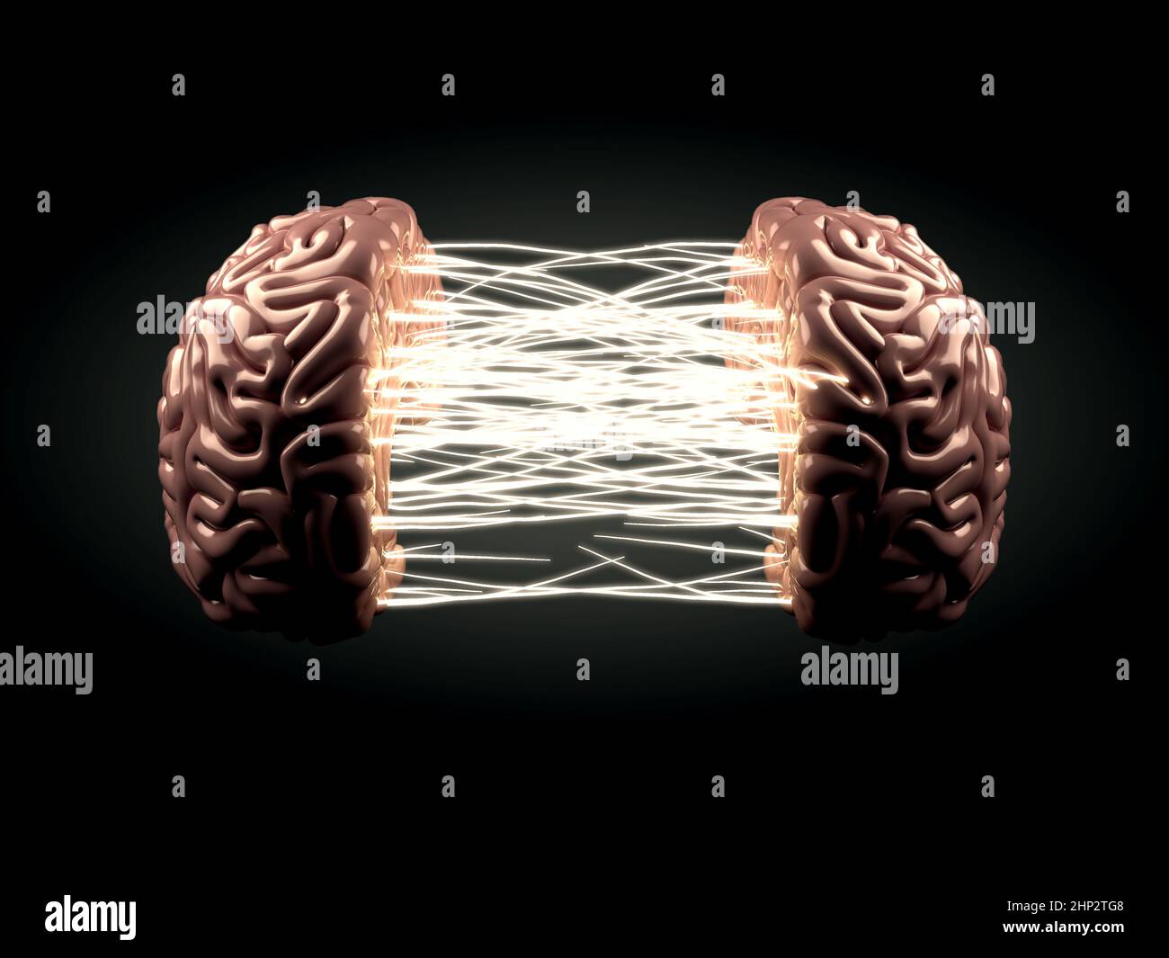 A concept showing a human brain split into two hemispheres and joined ...