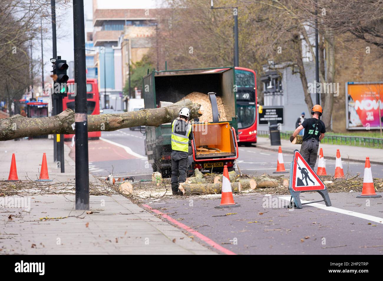 A fallen tree is sawn up after causing travel disruption on Battersea ...