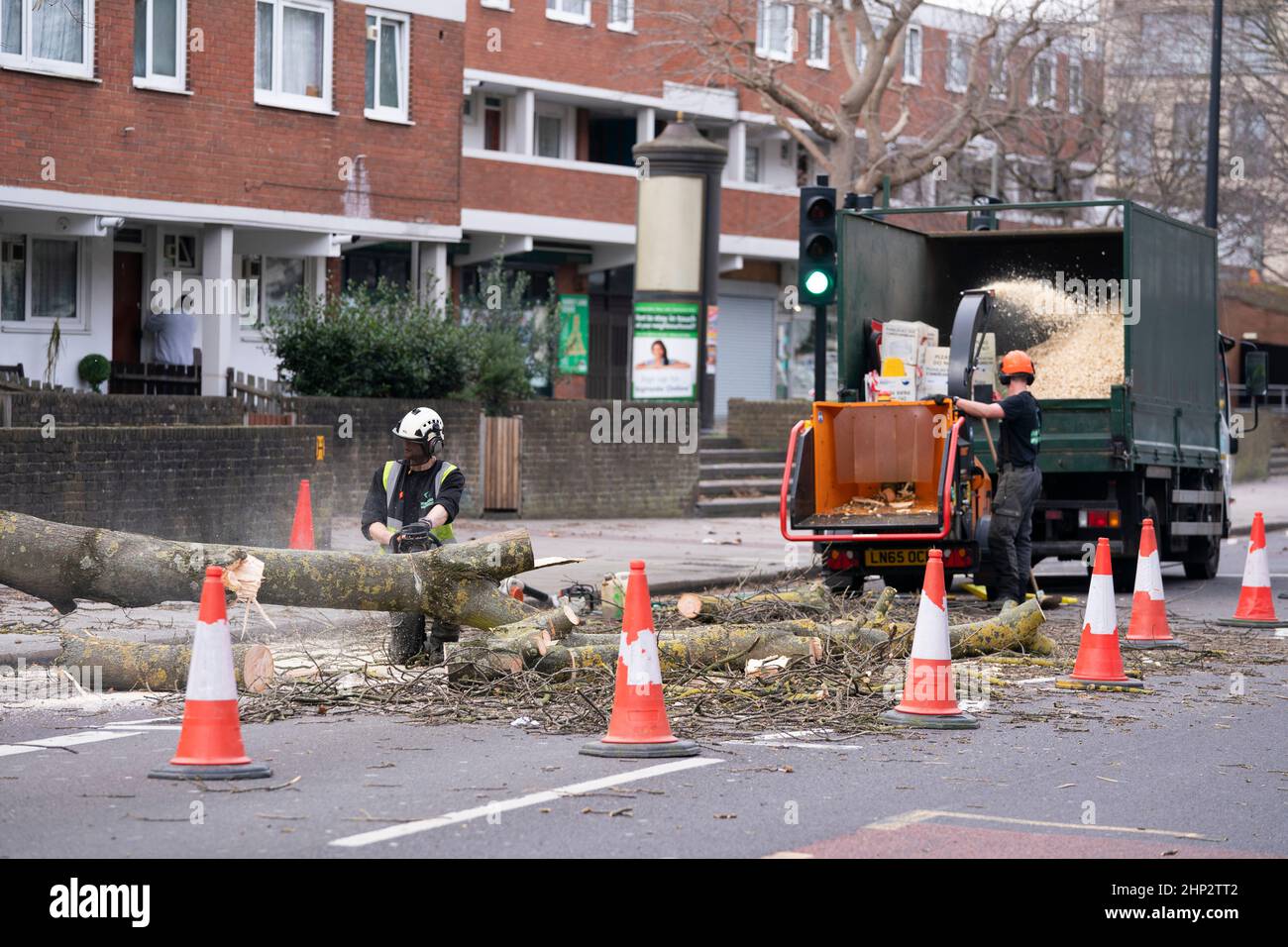 A fallen tree is sawn up after causing travel disruption on Battersea ...