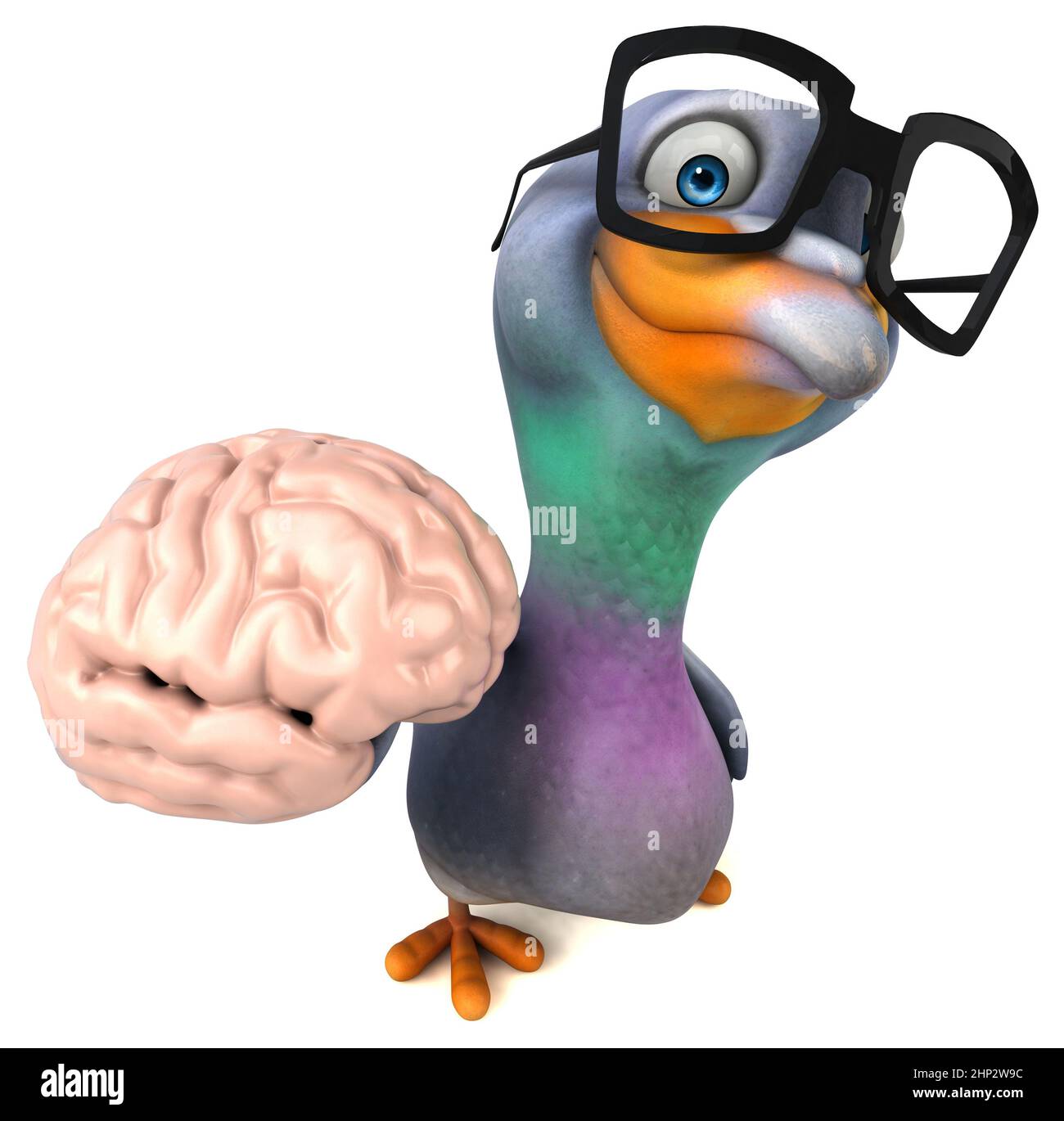 Pigeon brain Cut Out Stock Images & Pictures - Alamy