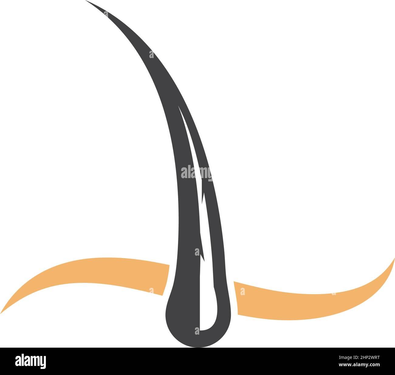 Vector hair design Stock Vector Images - Alamy