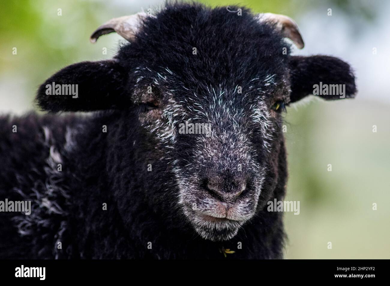 Themes of rural life hi-res stock photography and images - Alamy