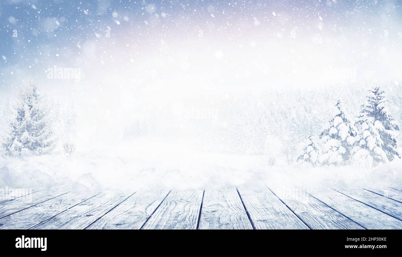 Christmas composition and winter concept. Snow landscape. Christmas and ...