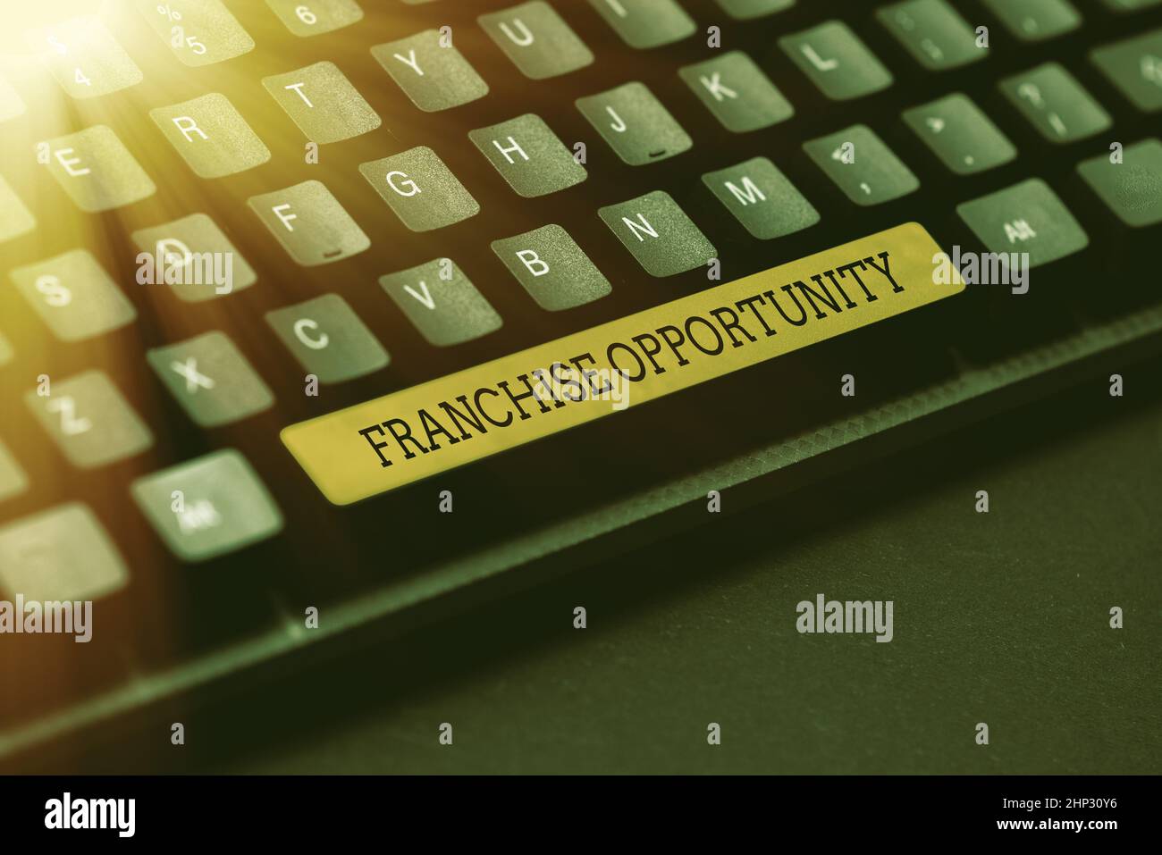 Text sign showing Franchise Opportunity, Business overview Business ...