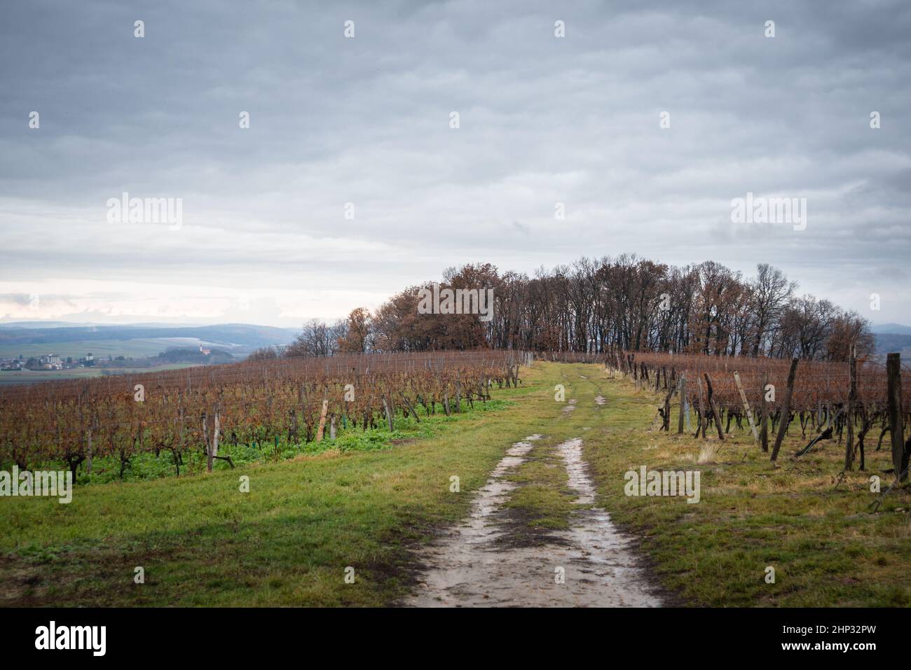 Landmark stone with boulder on a hill in Burgenland Stock Photo - Alamy