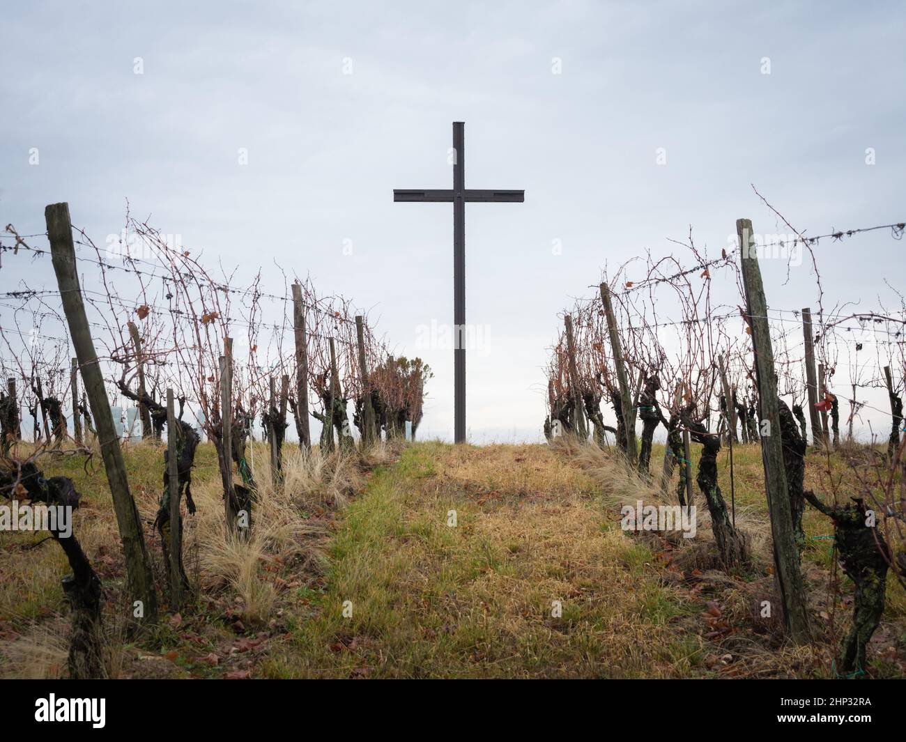 Cross in a vineyard Stock Photo - Alamy