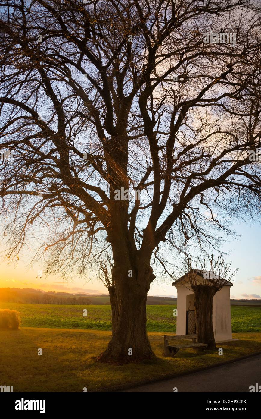 Sunset over wheat field with path and chapel Stock Photo - Alamy
