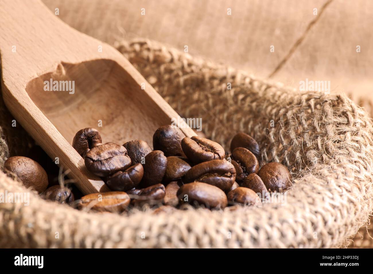 Bean seeds tissue hi-res stock photography and images - Alamy