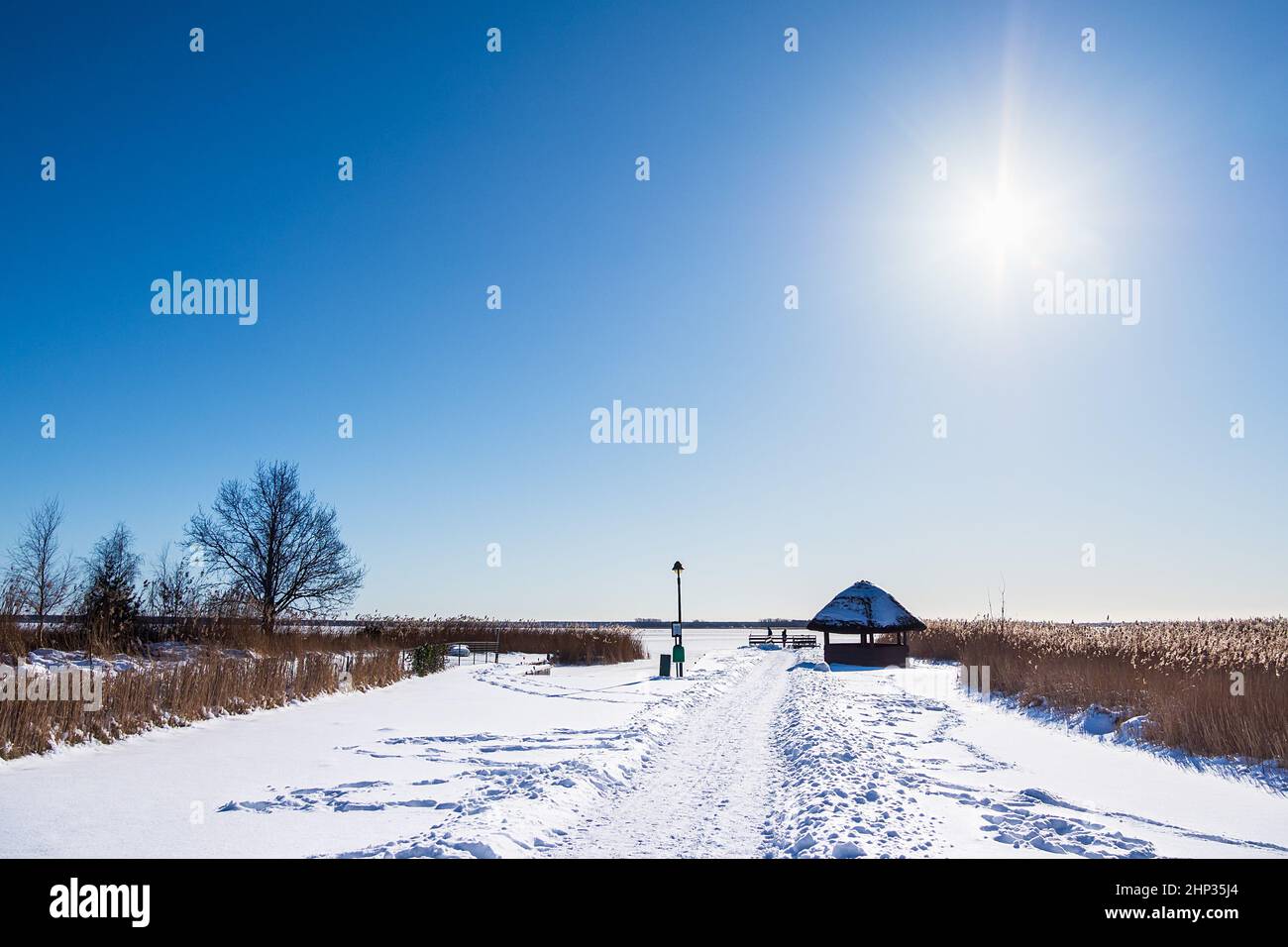 Reeds and building on the Bodden coast in Born, Germany Stock Photo - Alamy