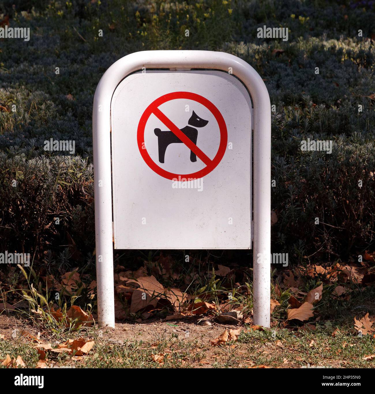 No dogs permitted sign hi-res stock photography and images - Alamy