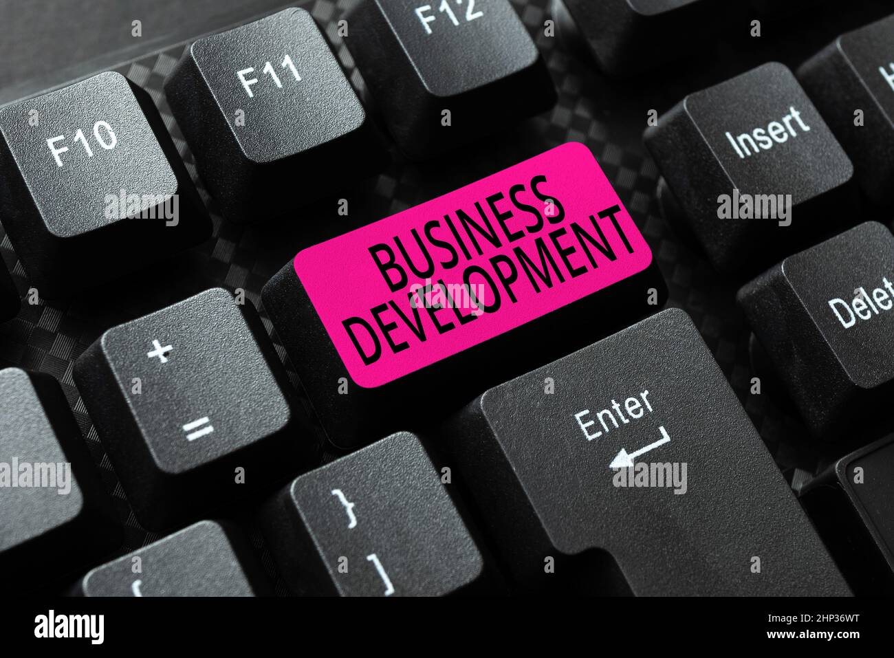 Text caption presenting Business Development, Business overview ...