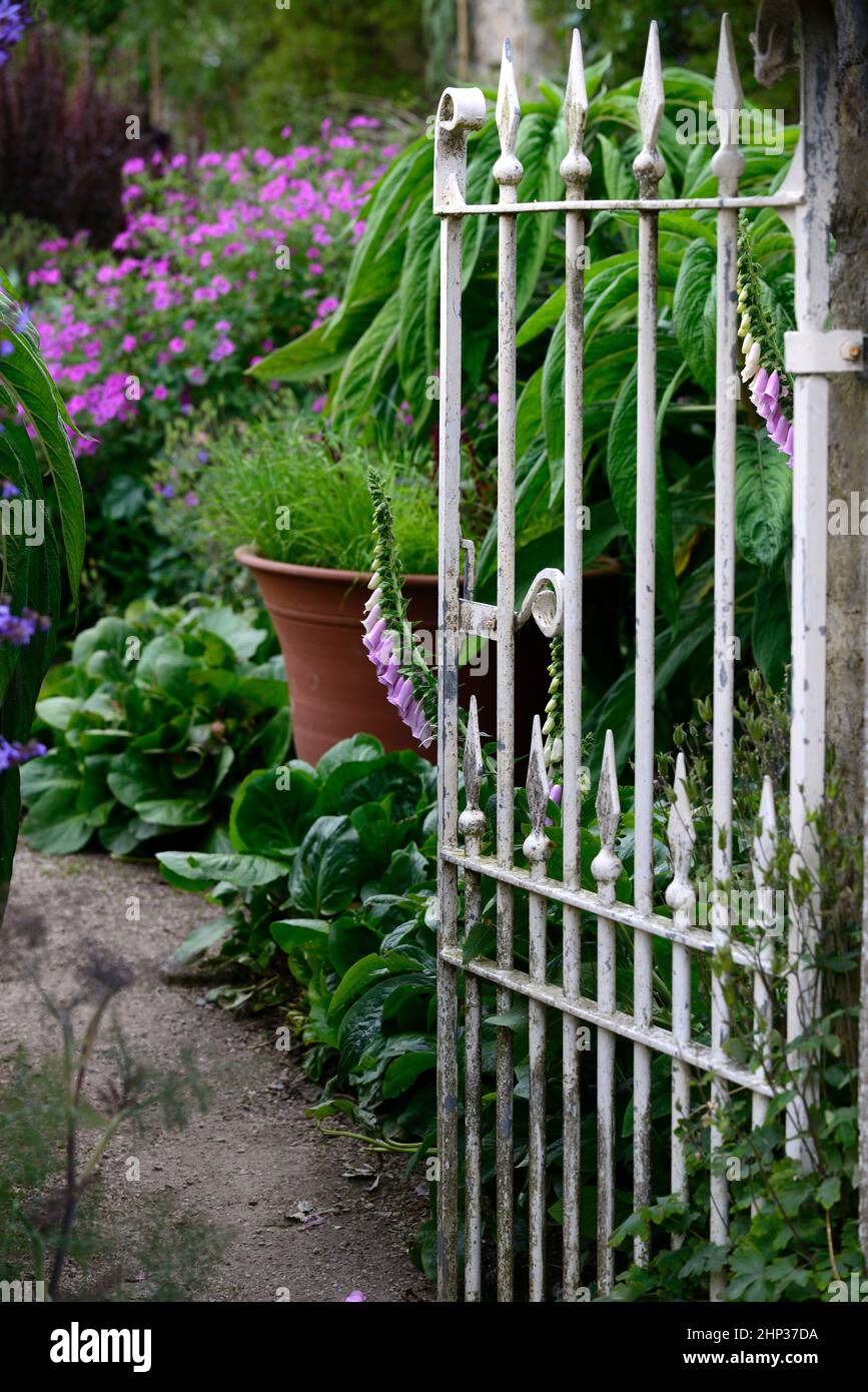 Cottage garden,open metal gate,open entrance,entrance to garden ...