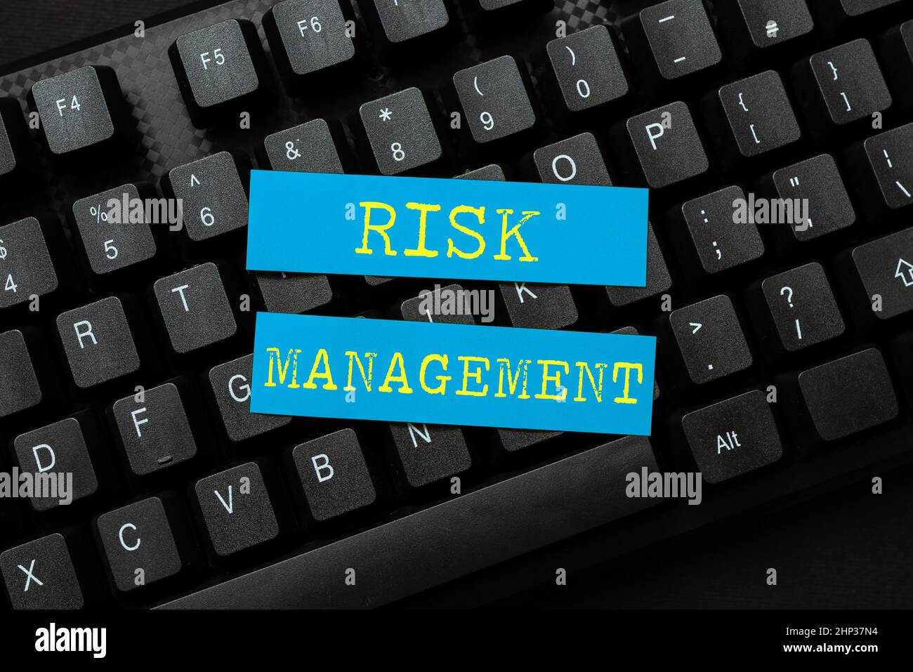 Text caption presenting Risk Management, Business approach evaluation ...