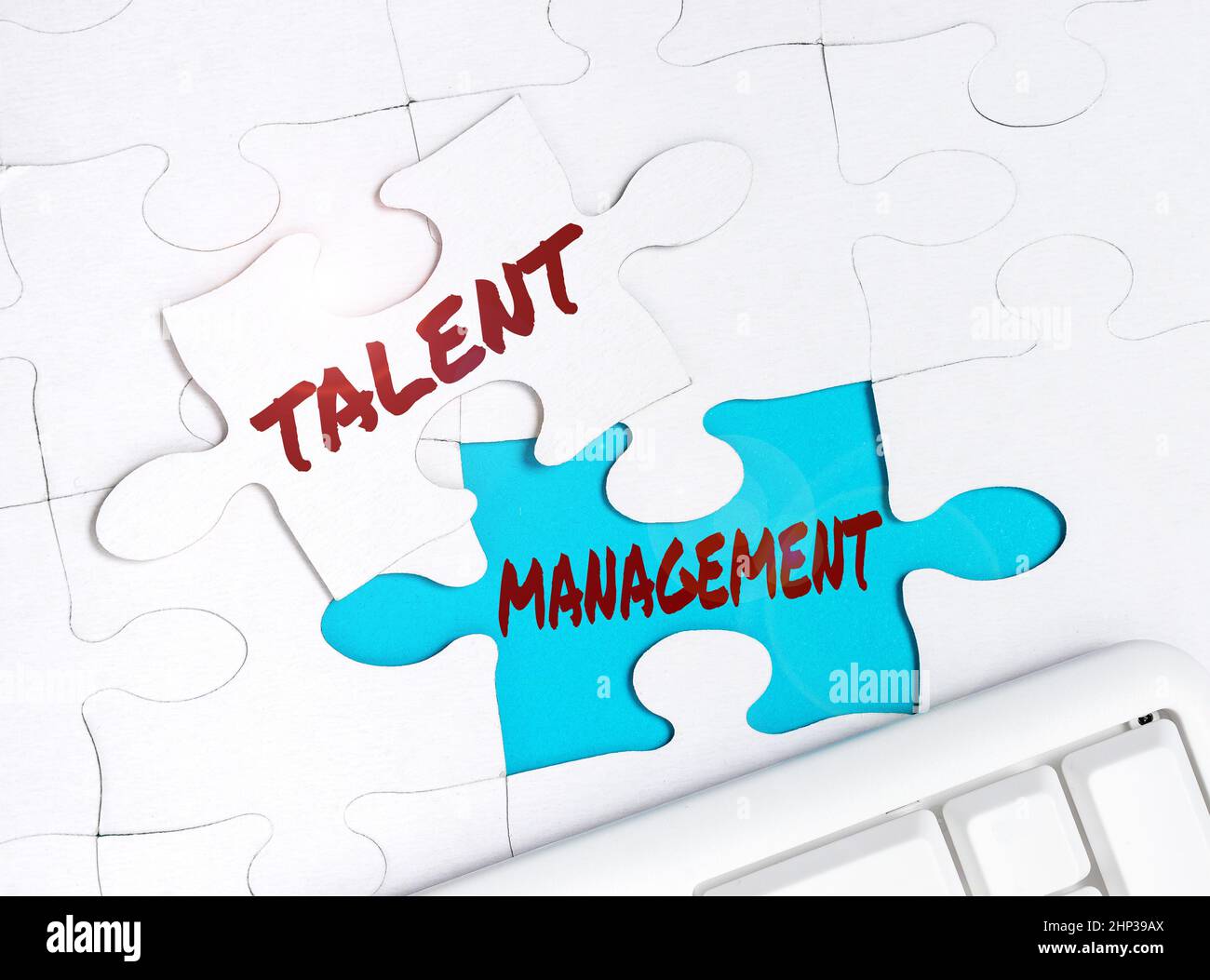 Talent management skill hi-res stock photography and images - Alamy