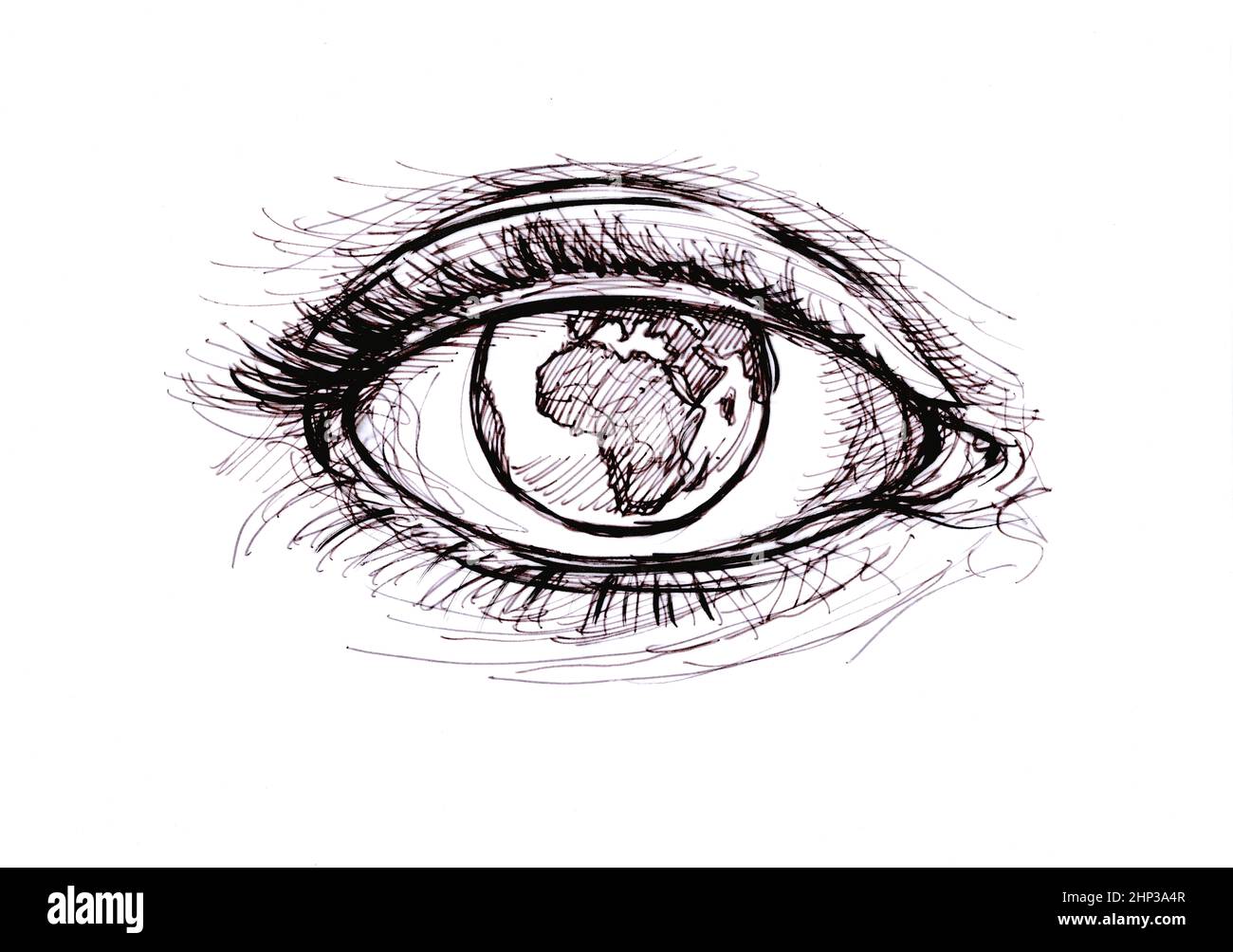 Forest concert Cut Out Stock Images & Pictures - Alamy