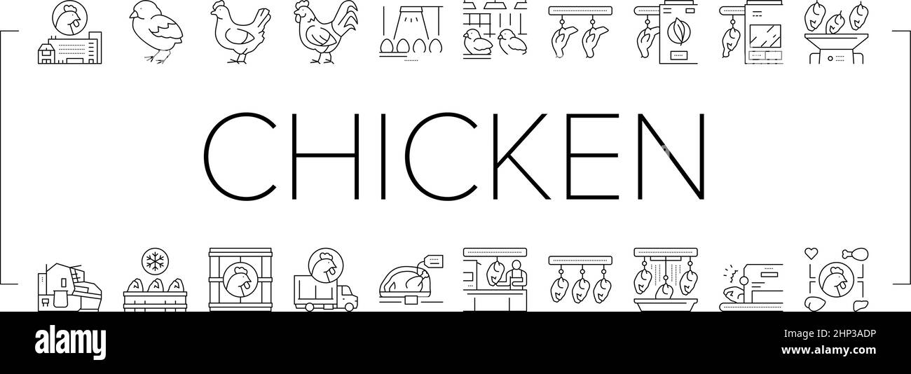 Chicken Meat Factory Collection Icons Set Vector Stock Vector Image ...