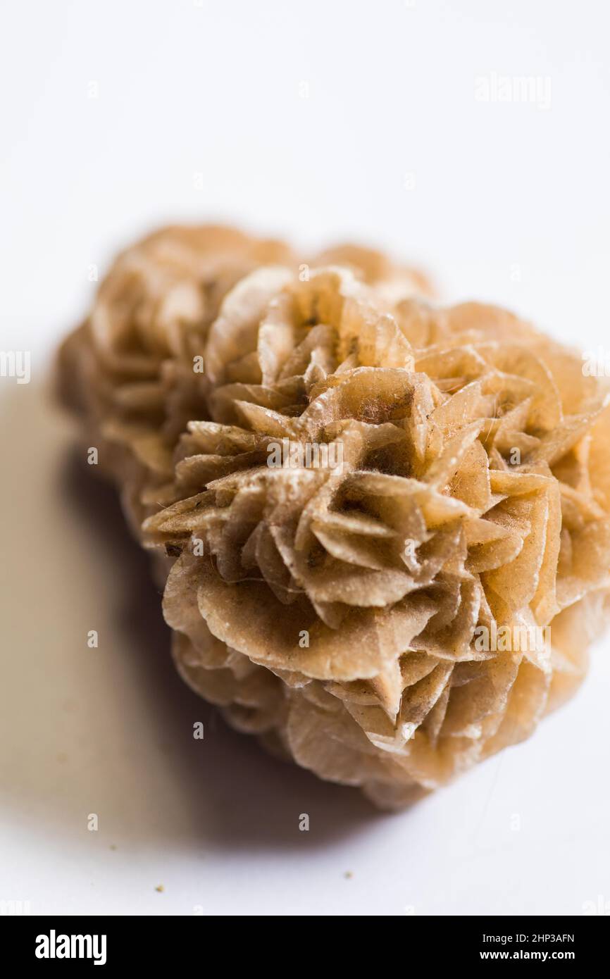 Detailed photo of Desert Rose natural mineral stone cluster Stock Photo ...